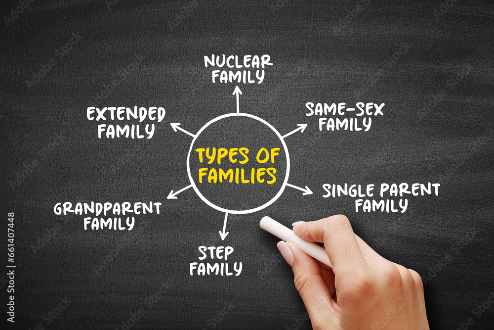 6 Types of Families, mind map concept for presentations and reports ...