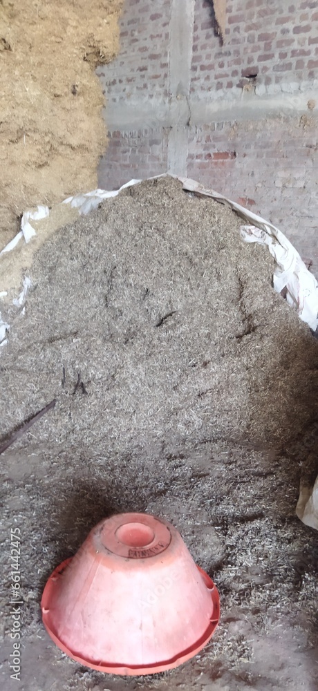 Pile of moong or green gram dry straw. Dry husk, straw or hay of moong ...