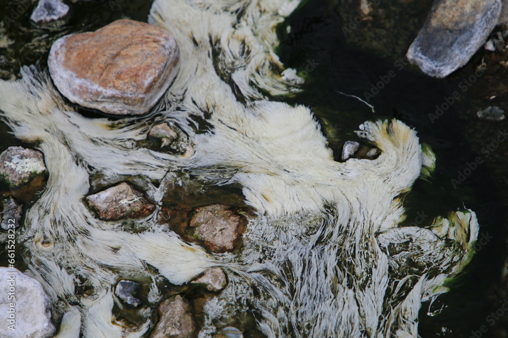Algae in Hot Springs and fog in Chae Son National Park, Lampang ...