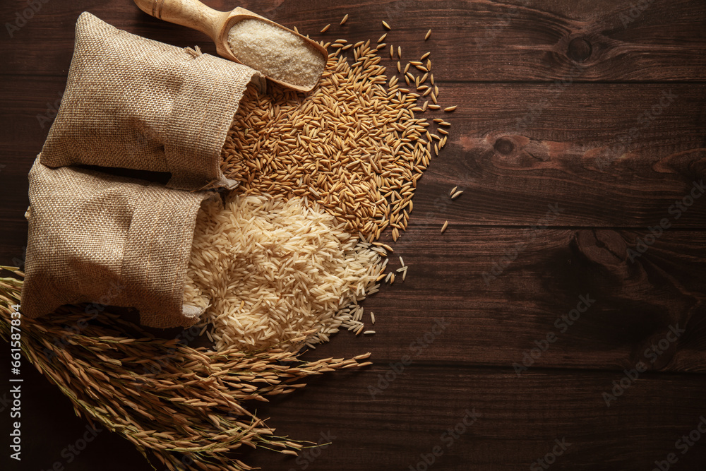 Different stages of organic Rice (Oryza sativa) spilled out from the ...