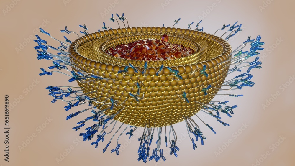 Antibody-modified liposomes, immuno-liposomes, can deliver encapsulated ...