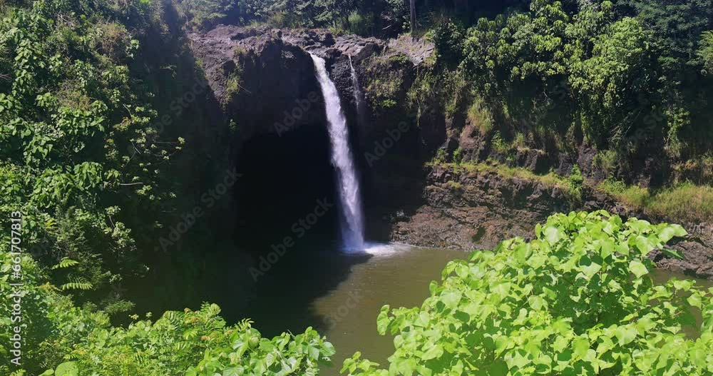 Rainbow falls plants tropical Hilo Hawaii. Big Island. Rain forest ...