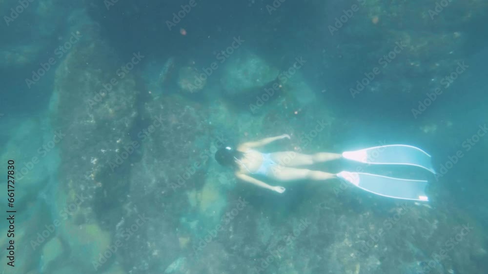 top to bottom back view to a young asian female free diver wearing long ...