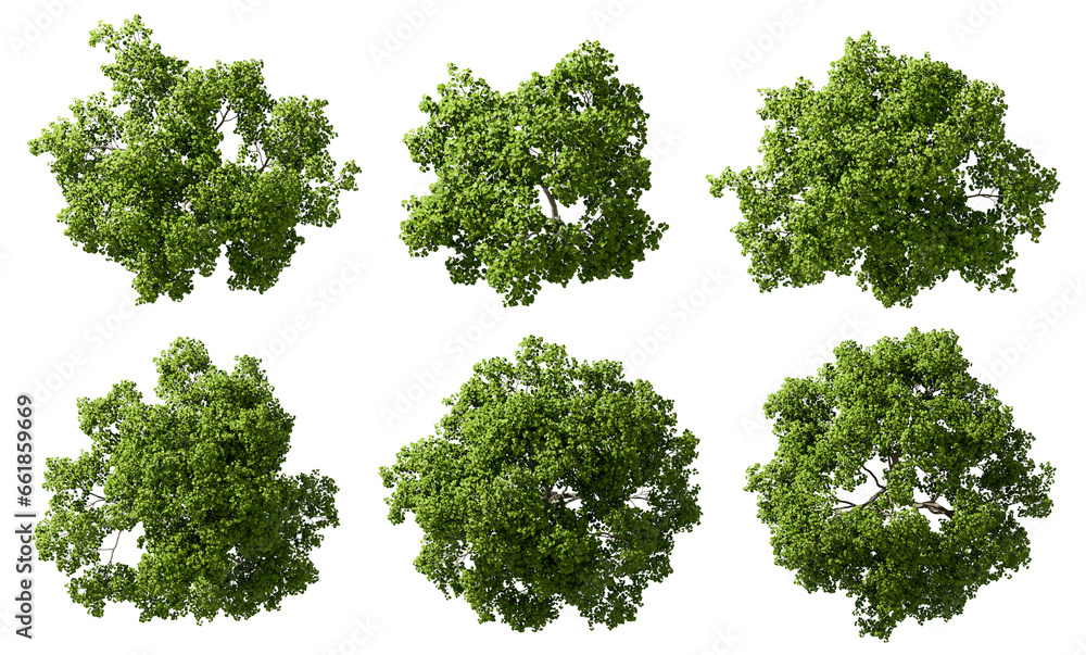 Aerial view woods trees cutout on transparent backgrounds 3d render png ...