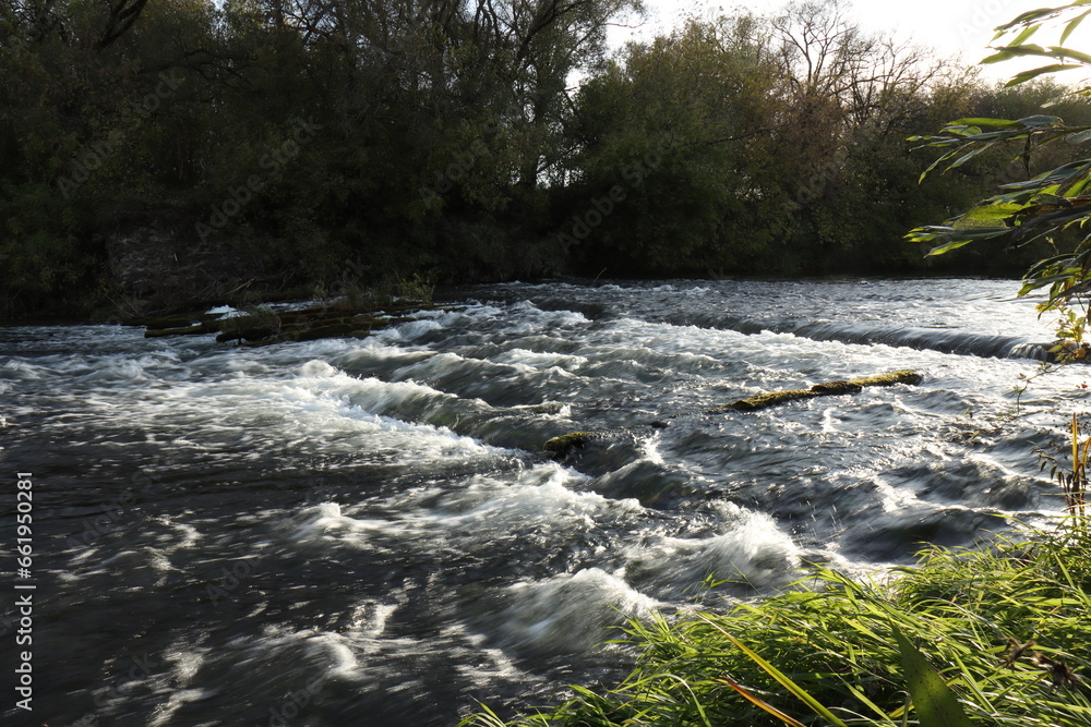 Raging flow of water through the sunken logs of a destroyed dam Stock ...