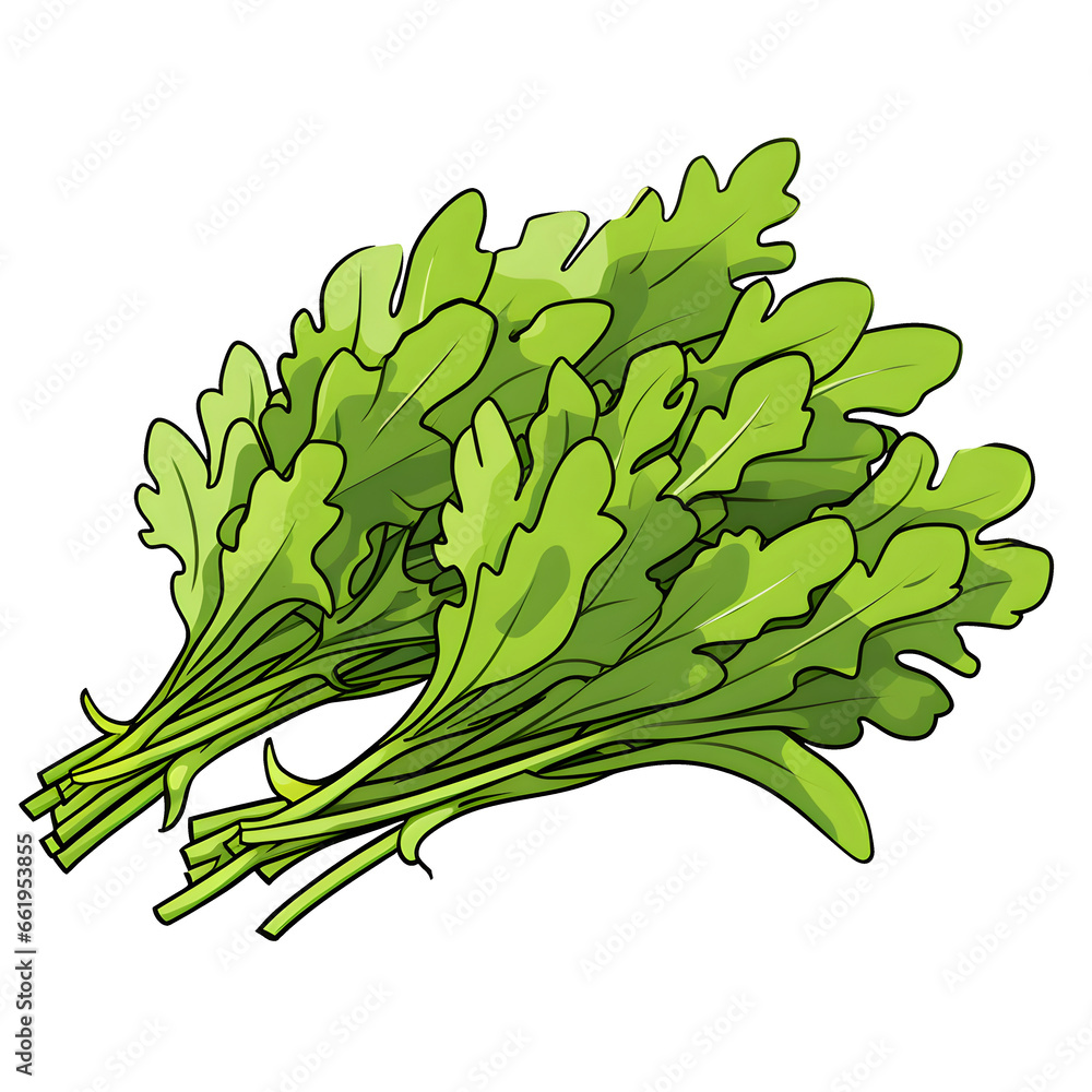 cartoon clipart of Arugula, food clipart, vegetables clipart ...