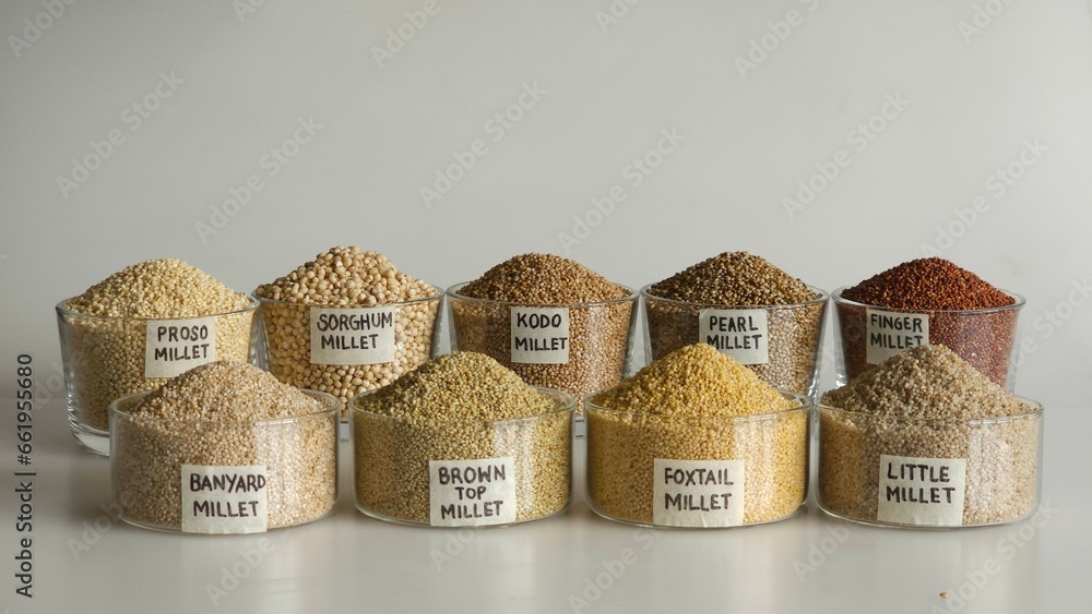 A single image showing all the nine millets. Millets are arranged in ...
