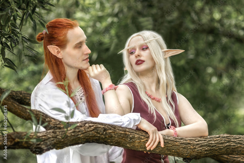 An elf man and an elf woman are standing near a tree. A pair of ...