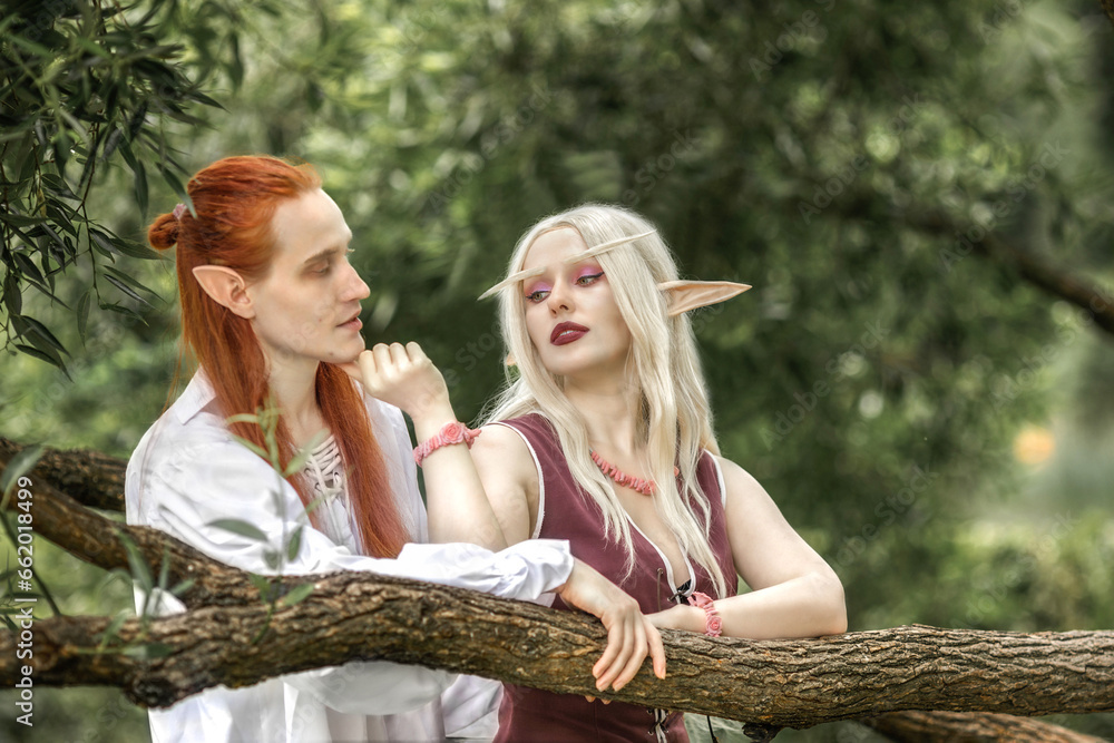 An elf man and an elf woman are standing near a tree. A pair of ...