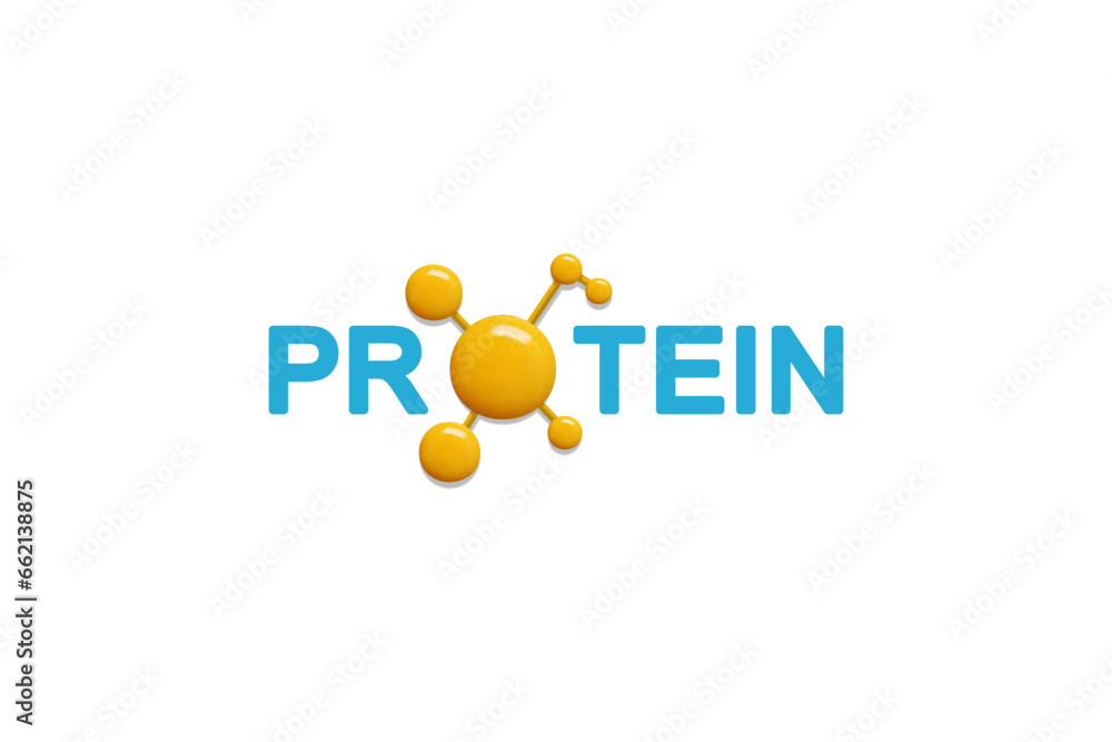 Vector is the word protein from amino acids to complex protein ...