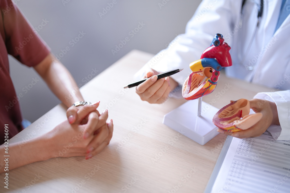 Asian cardiologist doctor women pointing on anatomical of human heart ...