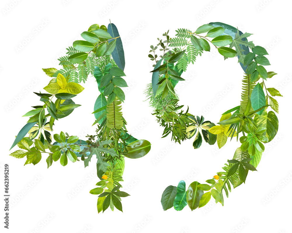 The shape of the number 49 is made of various kinds of leaves isolated ...