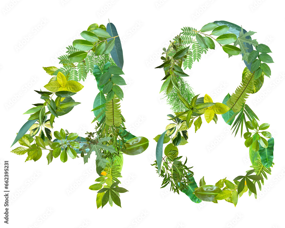 The shape of the number 48 is made of various kinds of leaves isolated ...