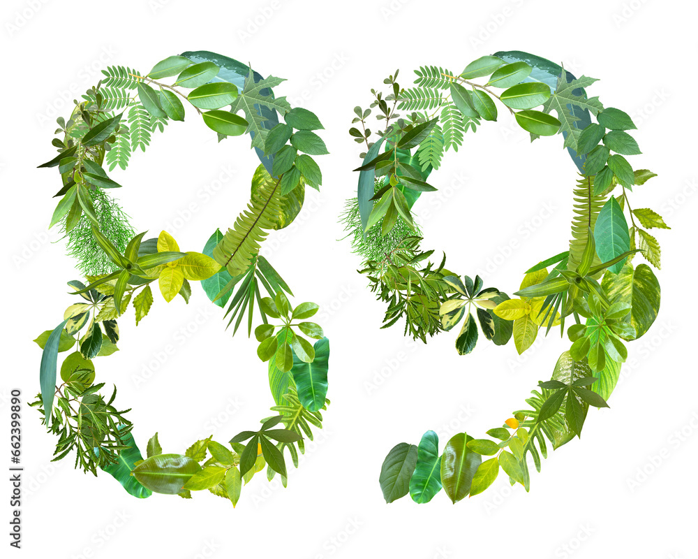 the-shape-of-the-number-89-is-made-of-various-kinds-of-leaves-isolated