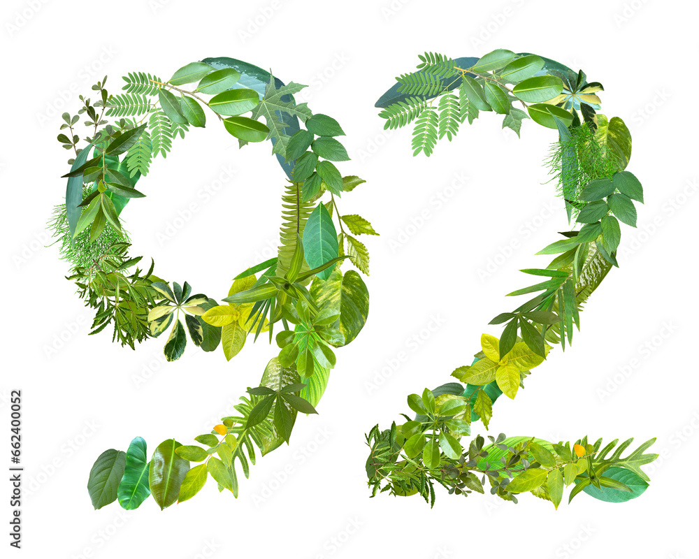 The shape of the number 92 is made of various kinds of leaves isolated ...