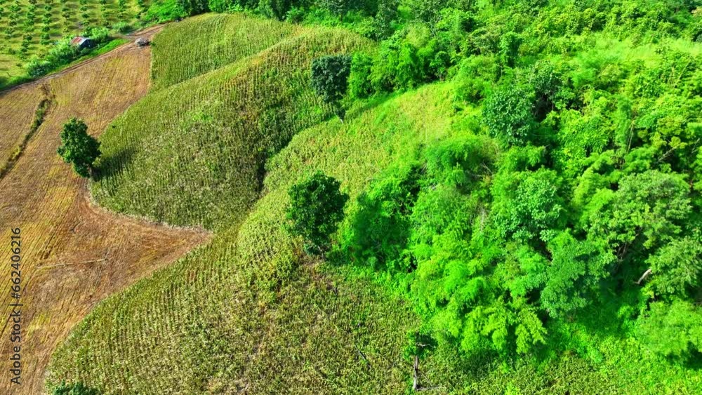 Aerial exploration of hill and plateau agricultural zones unveils ...