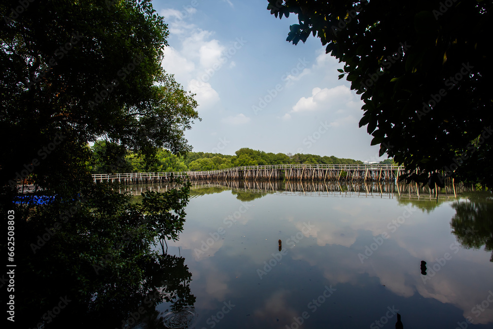 Mangrove natural tourist park located at Pantai Indah Kapuk, Muara ...