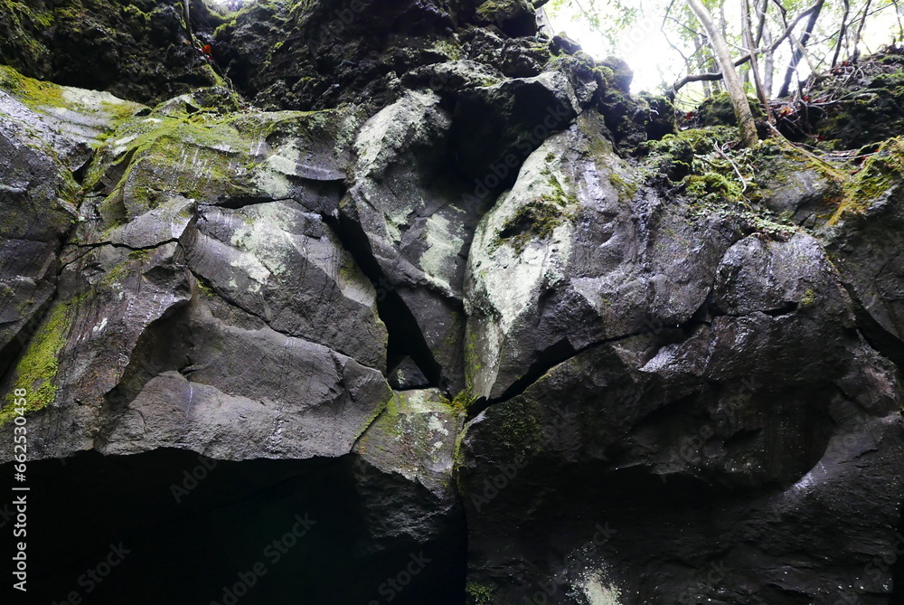 Aokigahara sea of tree Jyukai and hyoketsu ice cave in Mt Fuji and Mt ...