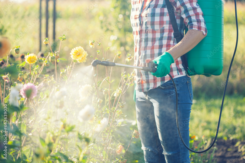 woman in a green backpack with a pressure garden sprayer spraying ...