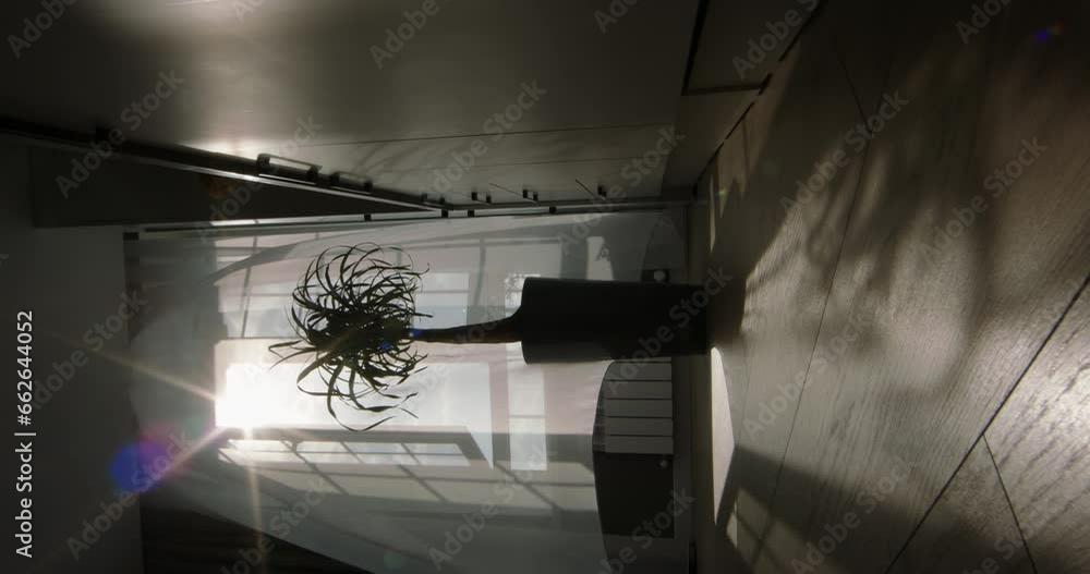 Vidéo Stock Sunshine streaming through open window. Cinematic vertical ...