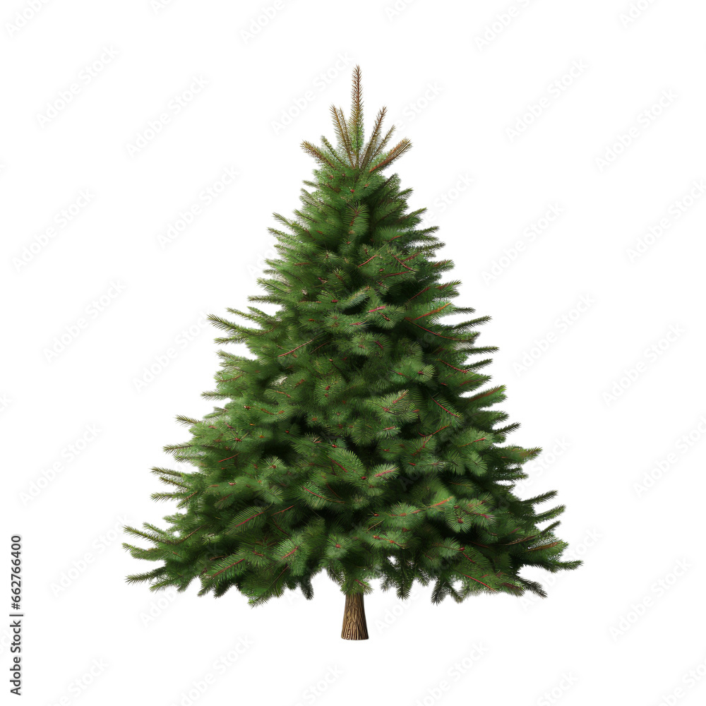 Undecorated Christmas tree isolated in transparent white background ...