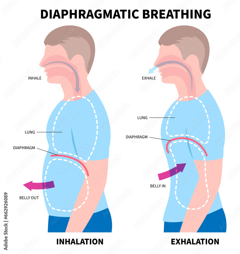 Diaphragmatic deep breathe exercise techniques for stress relief or relax and lung anatomy ...