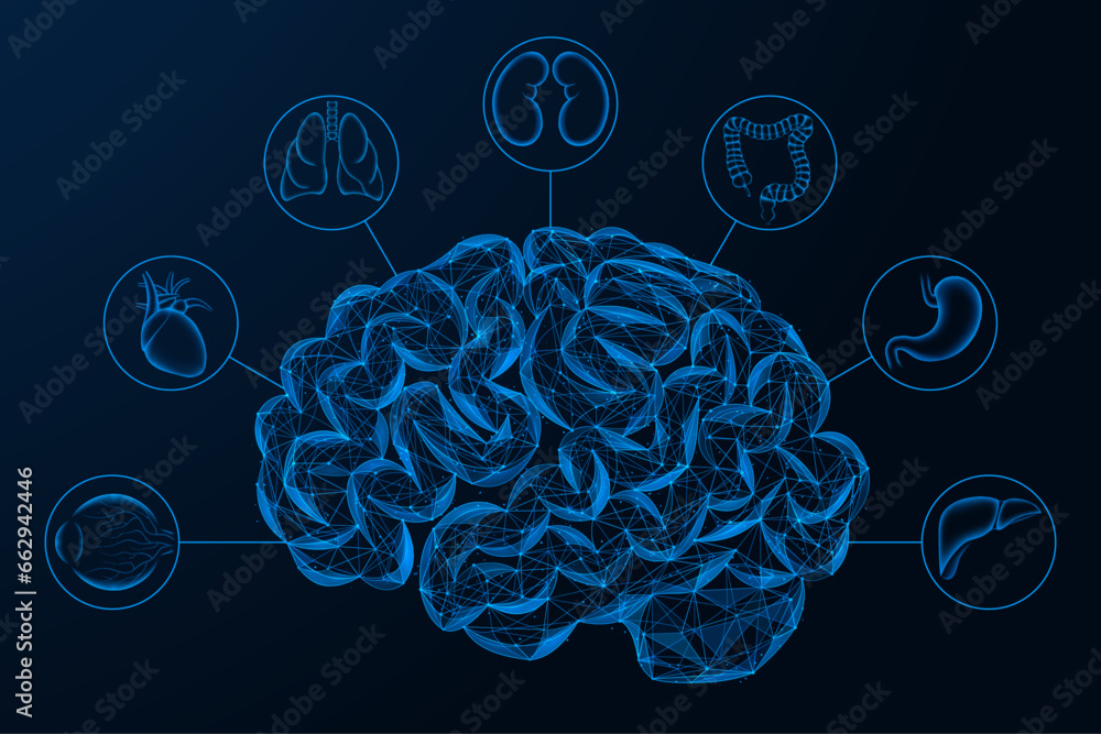Human brain, the control system of internal organs. Polygonal design of ...