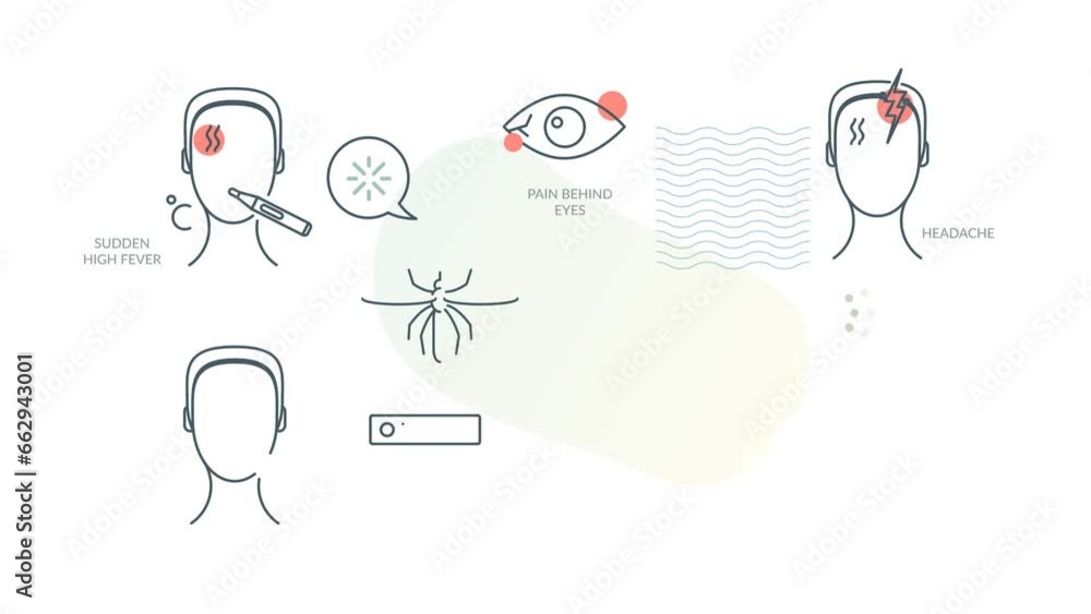 Dengue Fever (DENV) - Key Symptoms - Stock Animated Illustration as MP4 ...