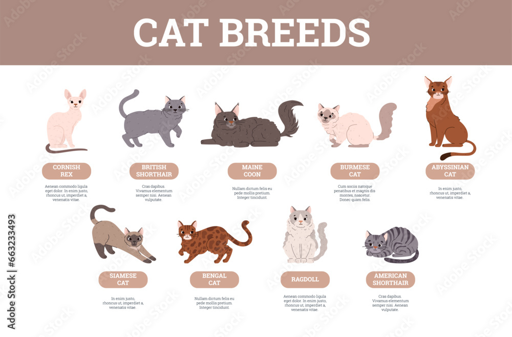 Set of various cat breeds with names flat style, vector illustration ...