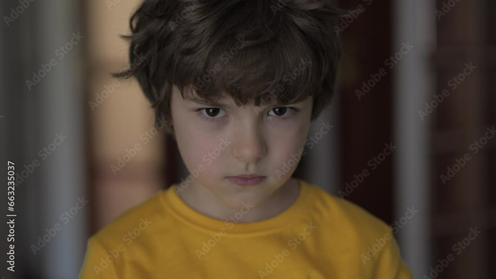 Sad Thinking Curiosity Child Looking at Camera. Face Eyes Serious ...