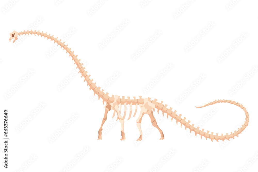 Dinosaur skeleton. Dino monsters icon. Shape of real animal. Sketch of ...