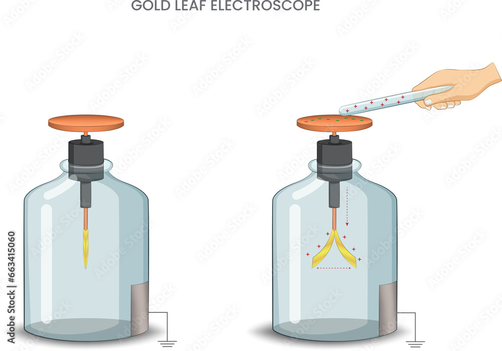 A gold-leaf electroscope detects electric charges by the divergence of ...