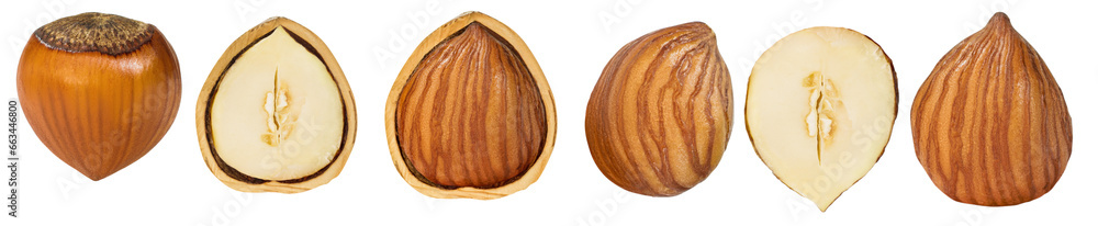 Kit. Hazelnut shell. Whole hazelnut. Core and grain. Depth of field ...