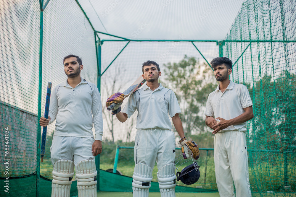 Cricket players standing a giving team poses in cricket nets in ...