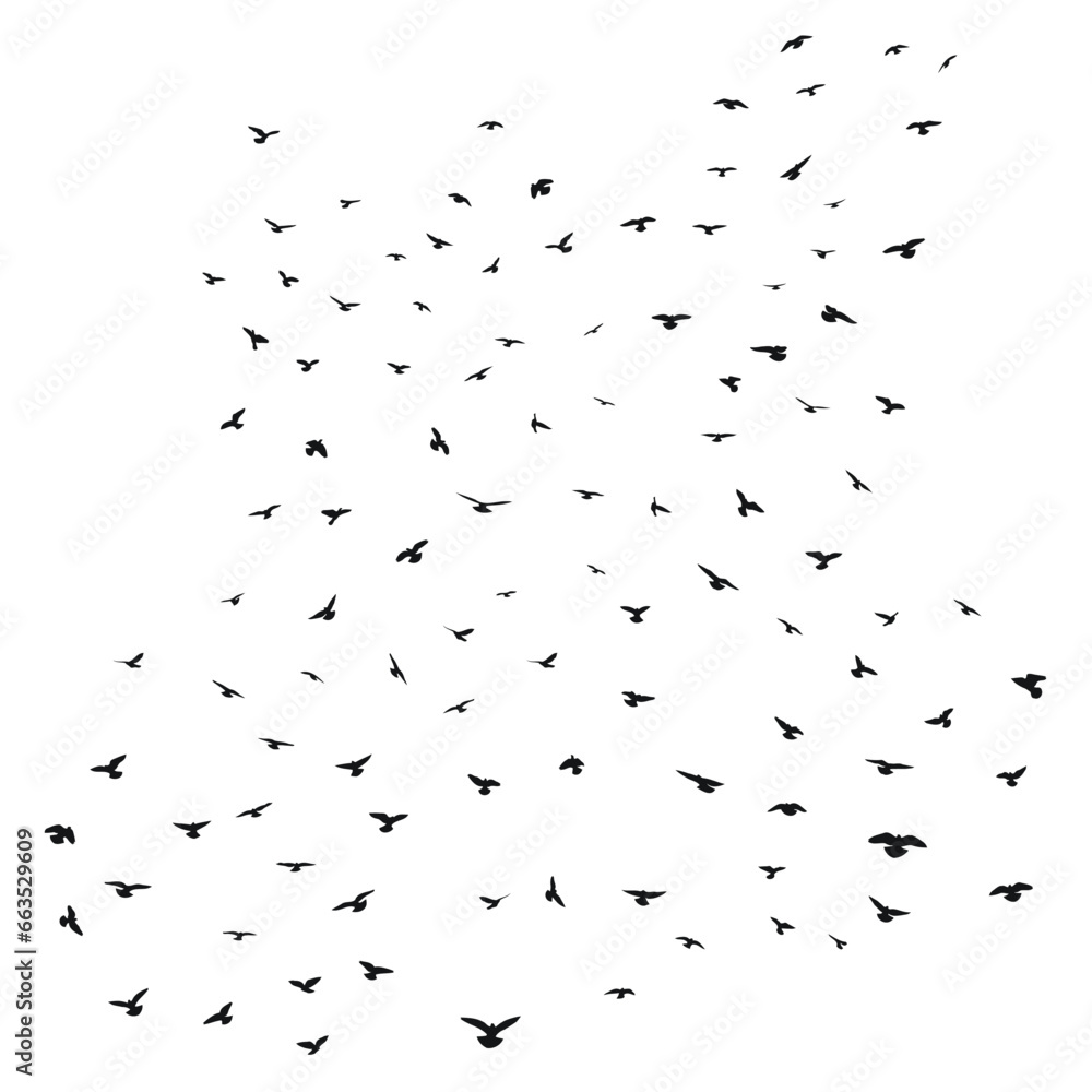 Sketch drawing of a silhouette of a flock of birds flying forward ...