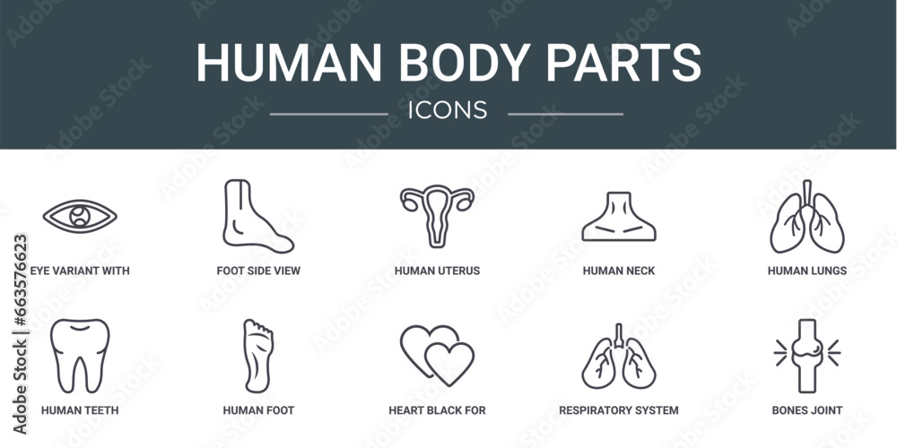 set of 10 outline web human body parts icons such as eye variant with ...