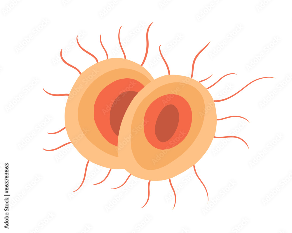 Vector isolated illustration of gonorrhea pathogen under a microscope ...
