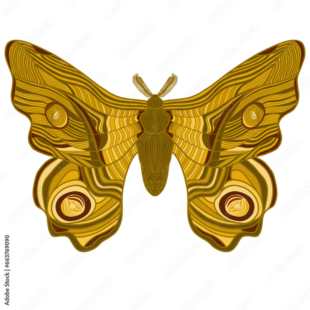 Disegno di farfalla falena Stock Illustration | Adobe Stock