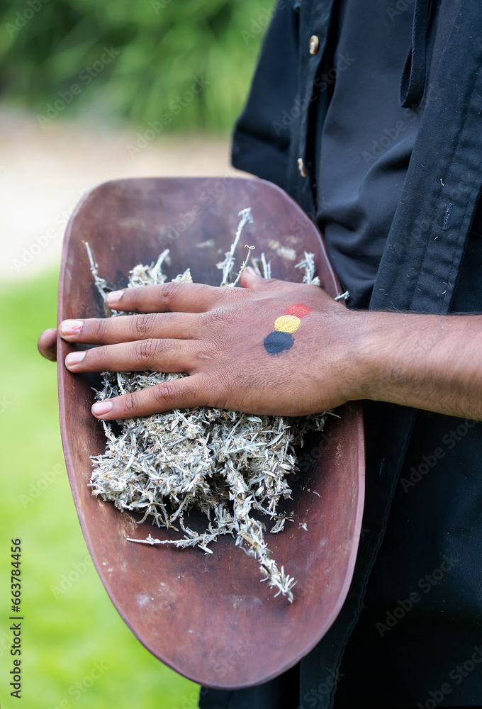 Human hand holds wooden ceremonial dish with branches, indigenous flag ...