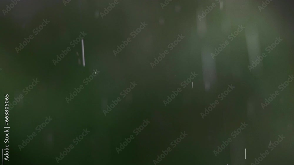 Closeup of rain, weather and nature with blurred background, climate ...