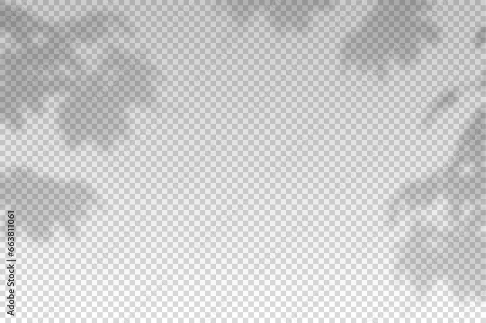 Plants overlay shadow. Reflect light from branches. Sun rays reflection ...