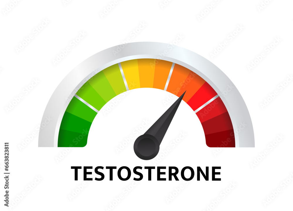 Meter Of Testosterone Hormone Level Measuring Scale Molecular
