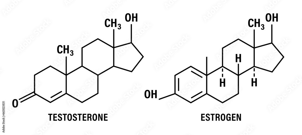 Structural Chemical Formulas Of Testosterone Molecule Molecular