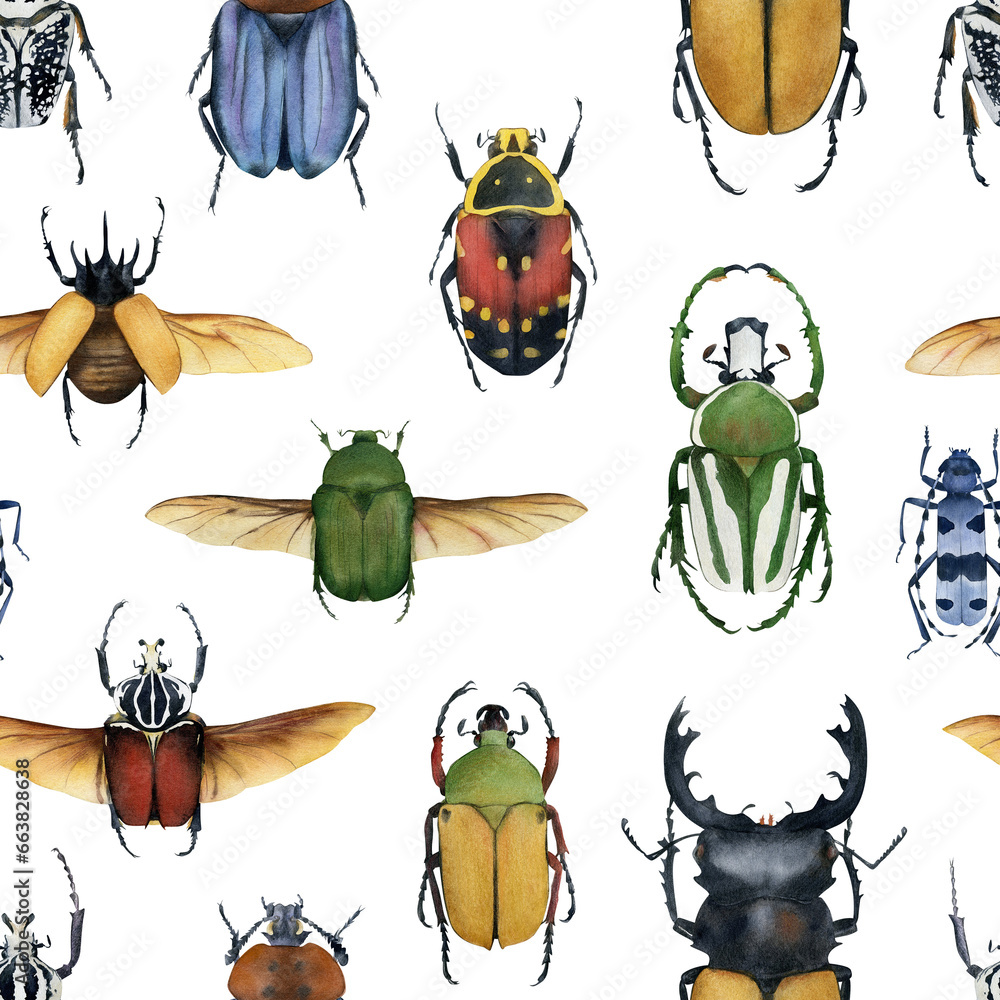 Watercolor beetles seamless pattern on transparent background. Hand ...