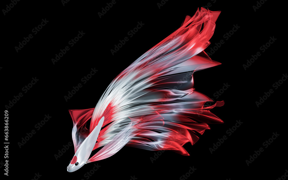 White fighting fish, long flowing red tail, has large red spots, looks ...