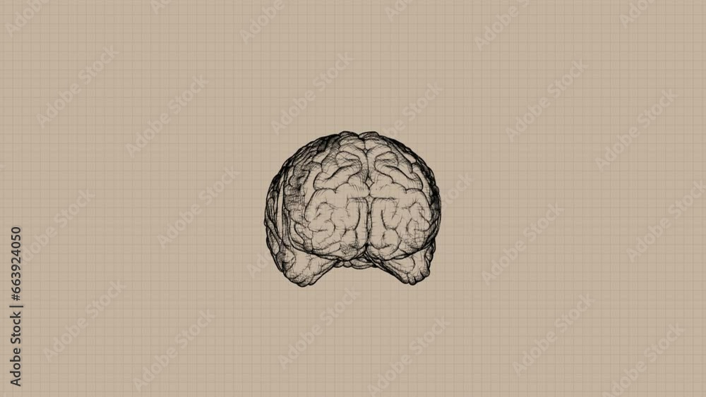 Pencil Sketch of a Human Brain. Stylized 3D Animation. Sketchbook ...