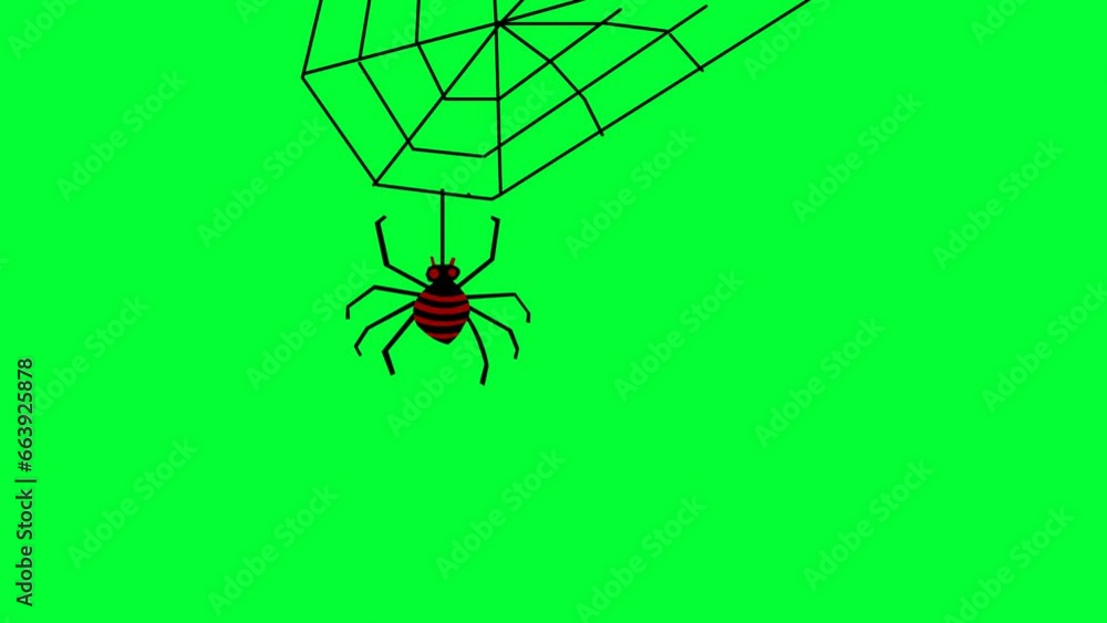 Spider and web background and 2d animation, animal, insect, hanging ...