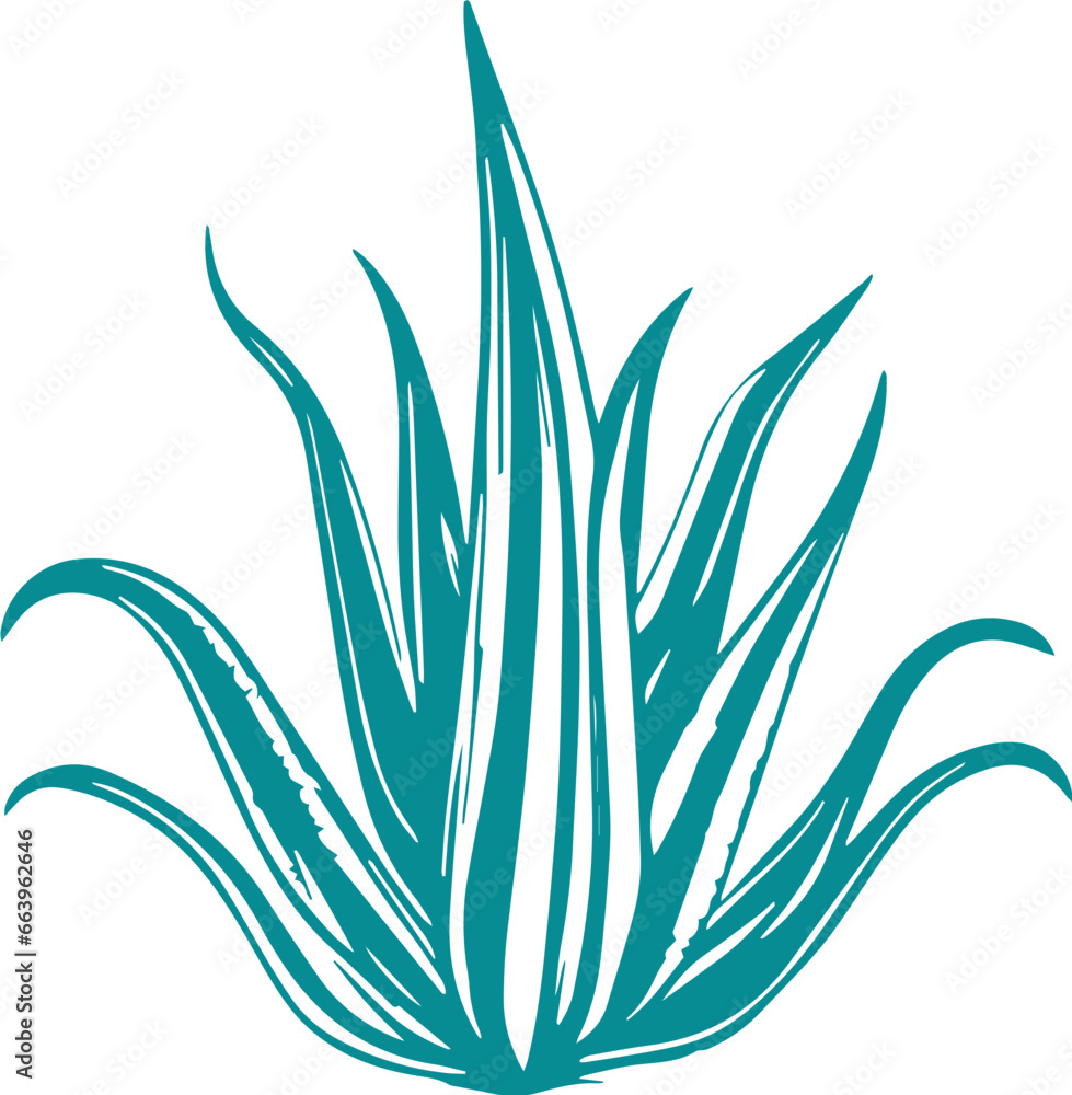 Agave plant vector drawing svg Stock Vector | Adobe Stock