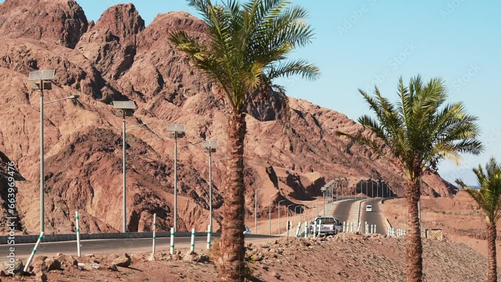 Two-lane expressway with phoenix palm trees on the roadside and solar ...