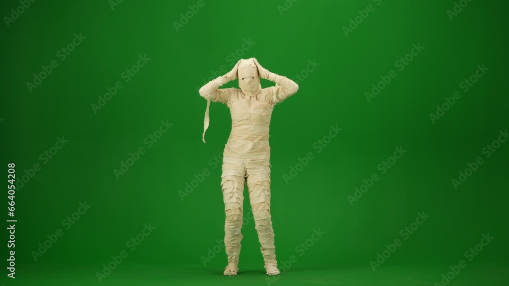 A mummy wrapped in bandages poses with his hands on his head looking at ...